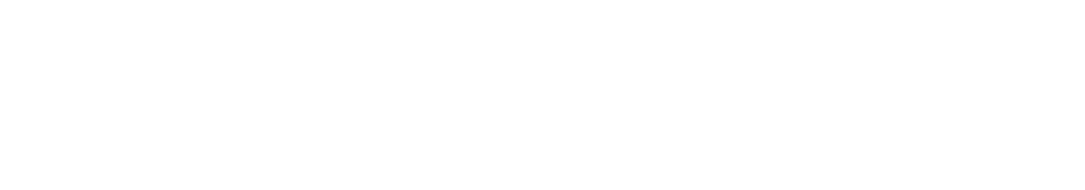 Modistch Inc | Consulting Company